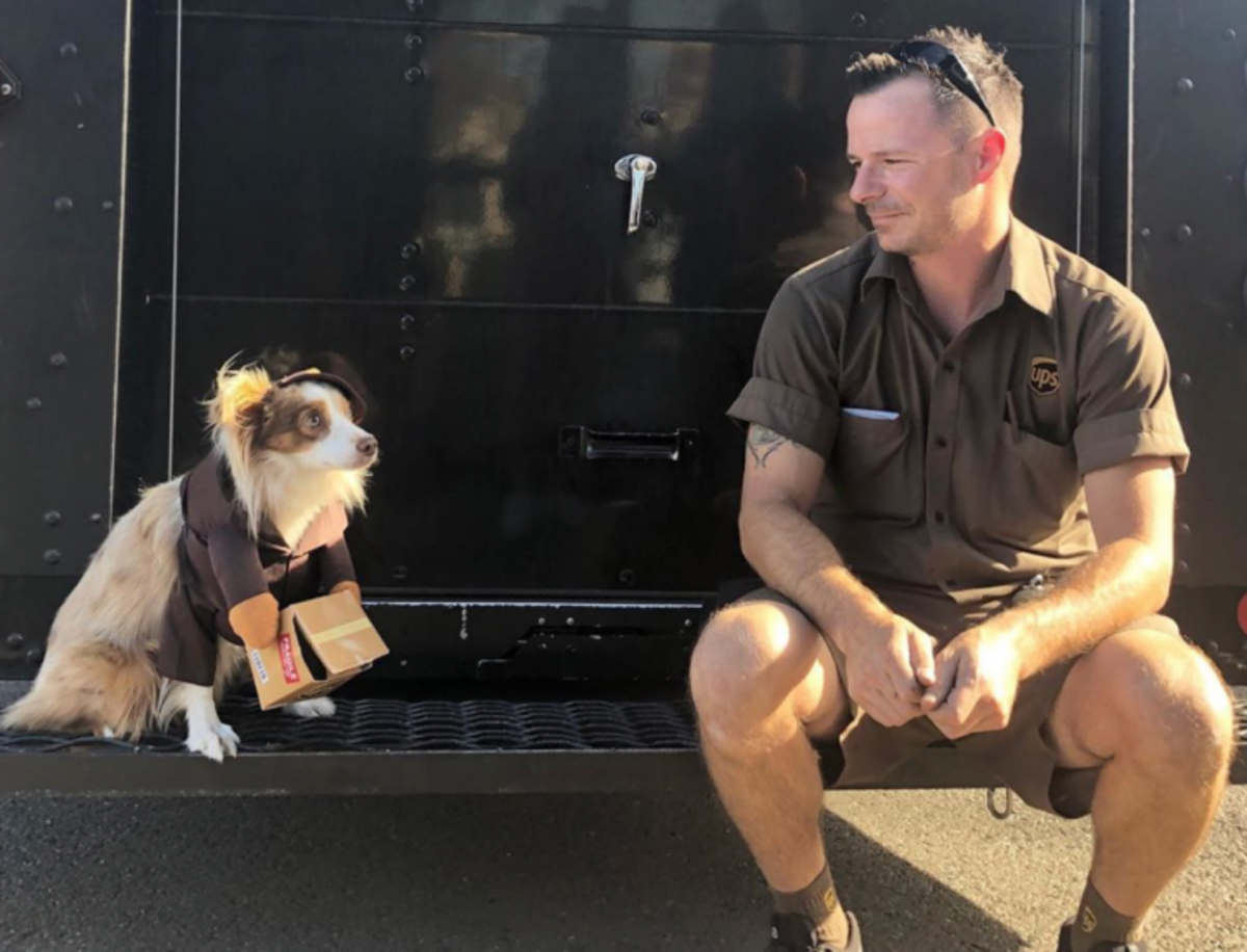Los repartidores de UPS norteamericanos adoran a los perros