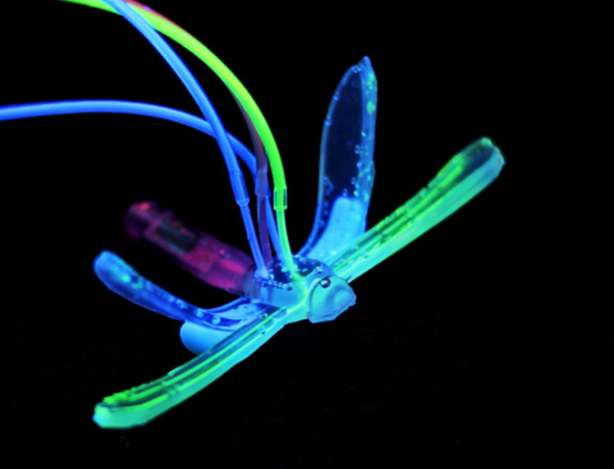 DraBot, así es un robot que evitará la contaminación marina