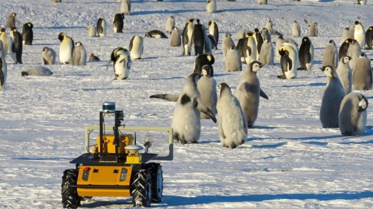 Husky UGV, el rover creado para espiar a pingüinos en la Antártida