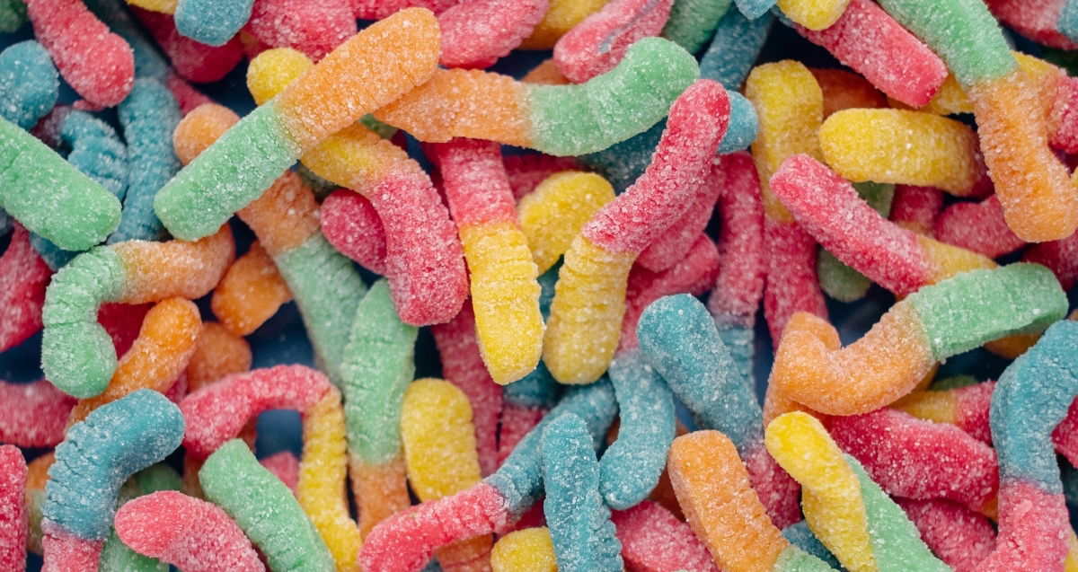 Estos gusanos podrían acabar con el exceso de plástico del planeta. Y ellos encantados, es su ...