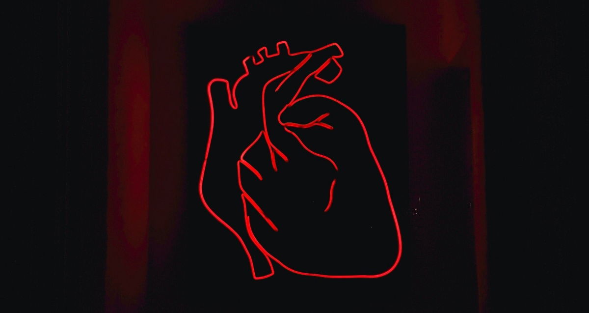 Olvídate del 'corazón partío', la ciencia ya ha conseguido imprimir en ...