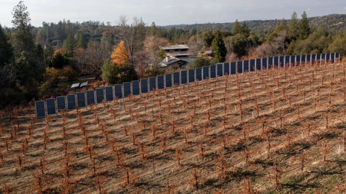 Colocar paneles solares en posición vertical resulta extraño a simple ...