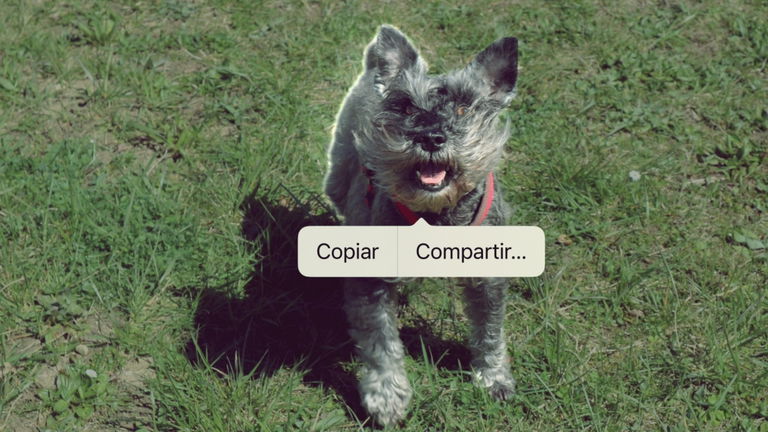 La manera más fácil de hacer stickers de WhatsApp