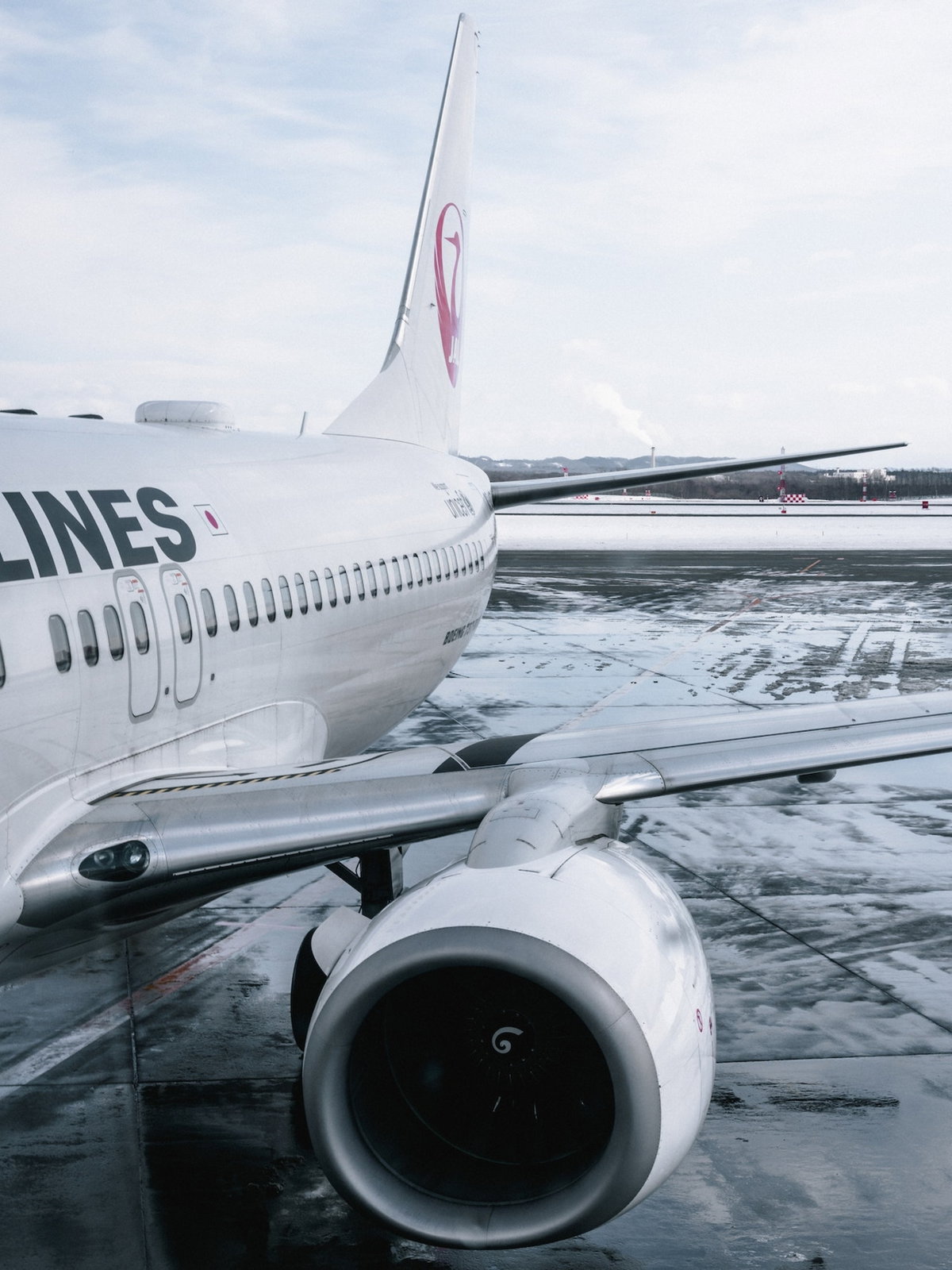 Por qué los aviones tienen dos timones y para qué sirven
