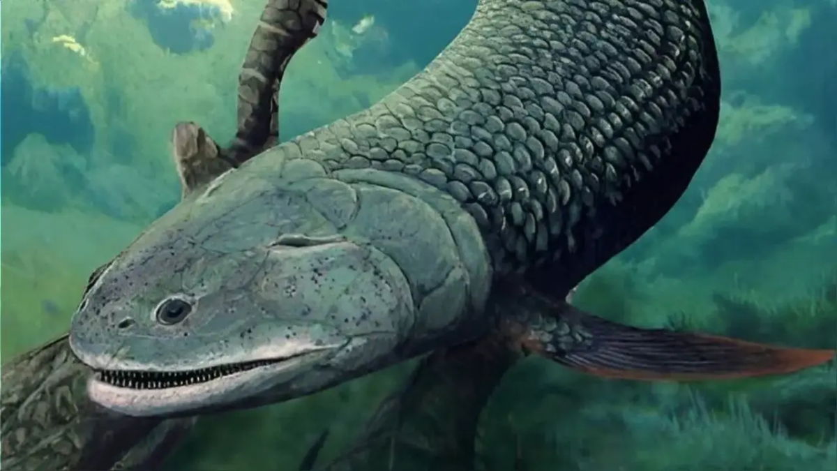 Este pez vivió hace millones de años en la Tierra y era capaz de ...
