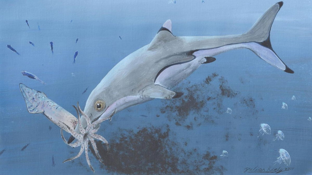 Un híbrido de delfín y pez de 20 metros de largo: así era el ictiosaurio