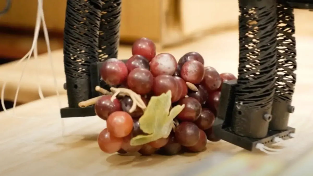 Embolsar nuestras compras de manera automática es lo que promete el ...