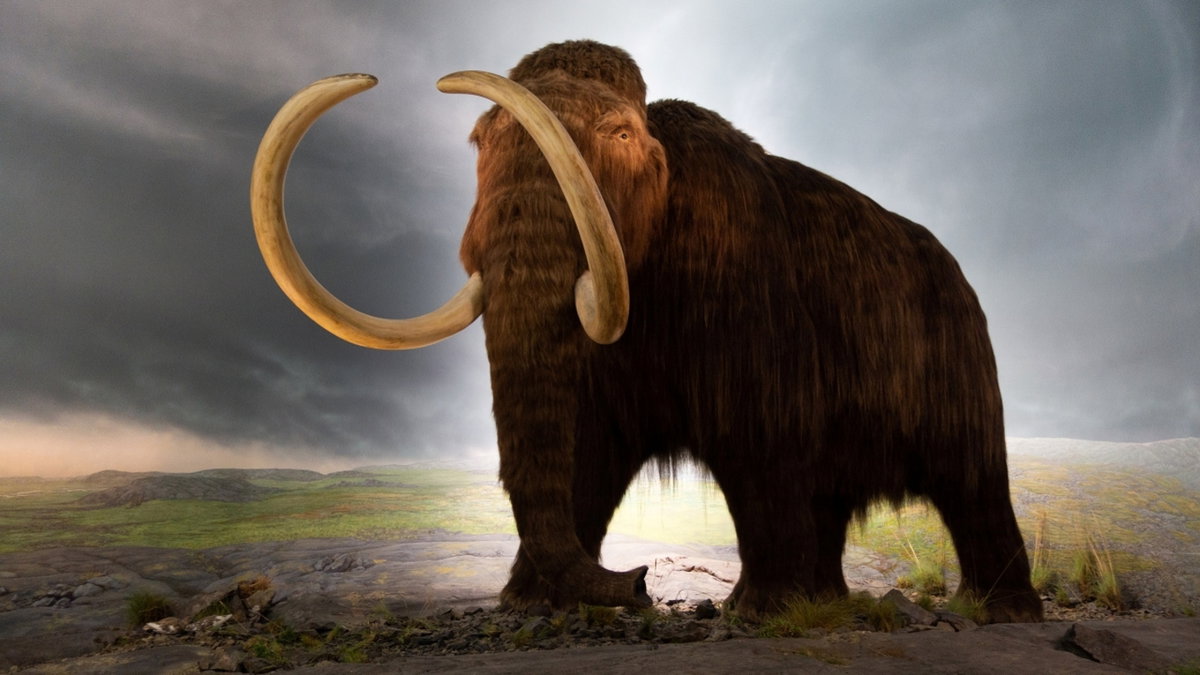Los científicos logran reconstruir en 3D el ADN de un mamut de hace 52. ...