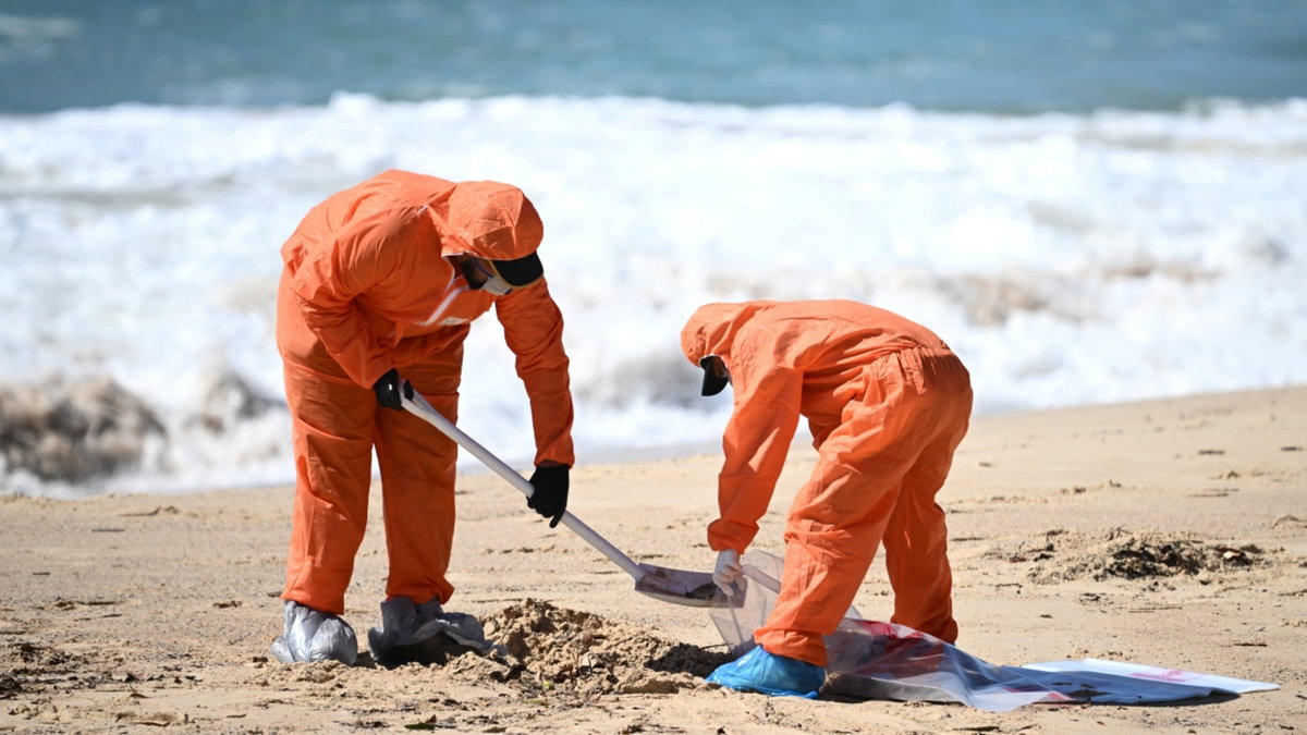 Las playas de Sydney han cerrado por la misteriosa aparición de bolas ...