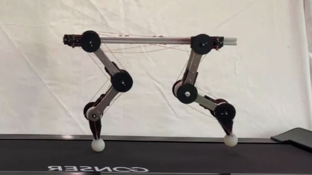 Camina como un perro, funciona con cables y no tiene motor. Así es el ...