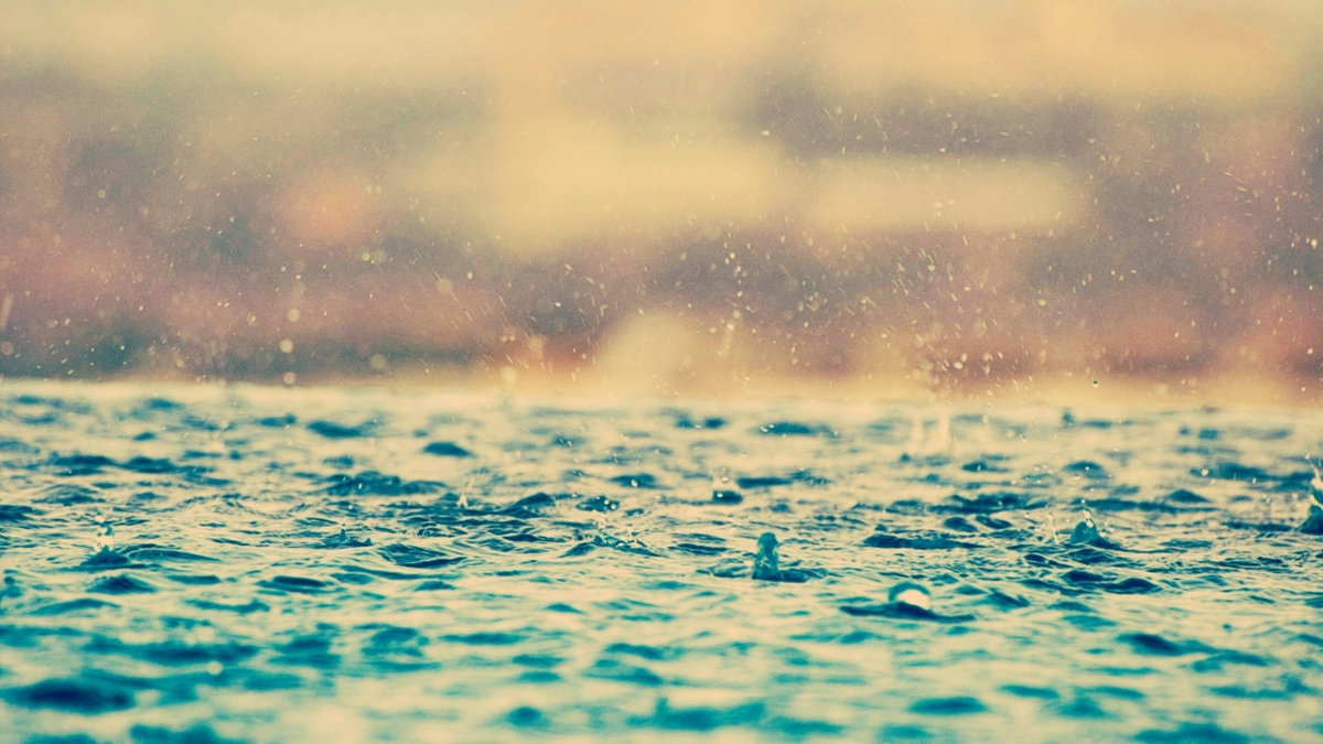 La lluvia ácida podría volver a caer en Estados Unidos. Los recortes ...
