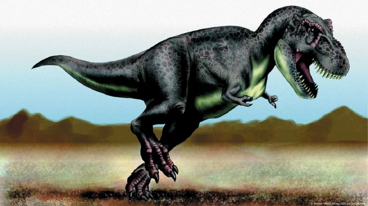 Un antiguo fósil de dinosaurio revela la historia íntima del ...